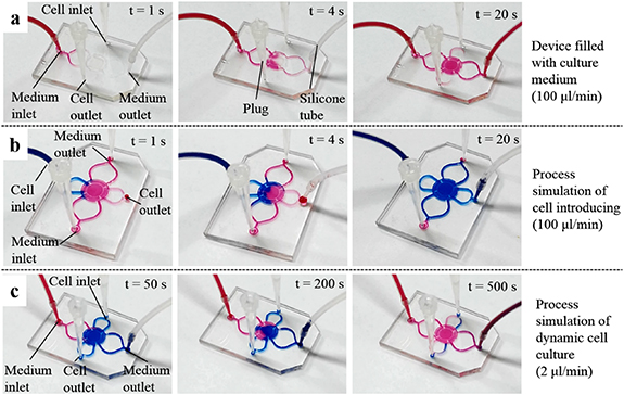 Engineering a dynamic three-dimensional cell culturing microenvironment ...