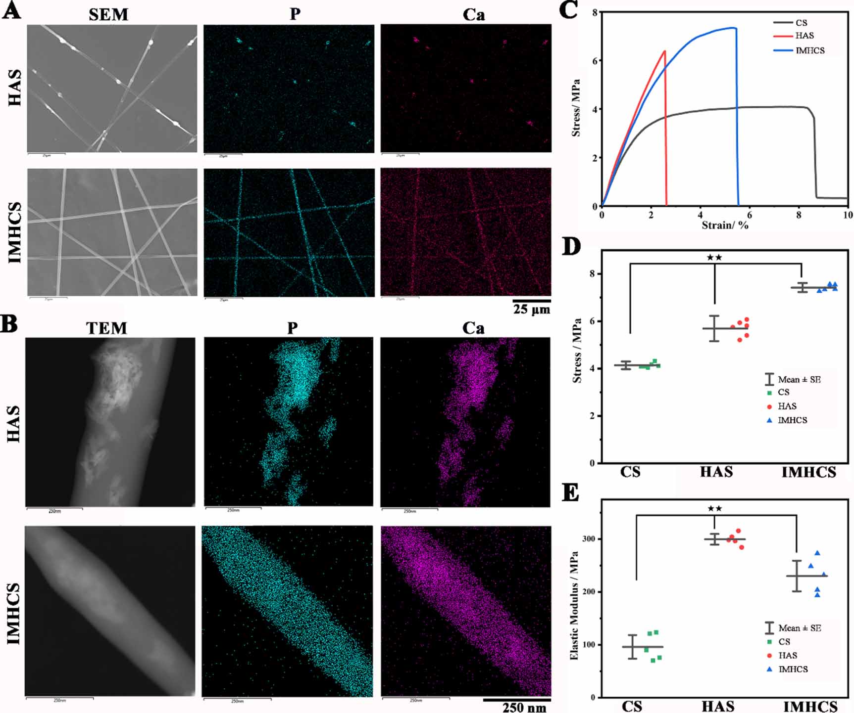 In-situ mineralized homogeneous collagen-based scaffolds for potential ...