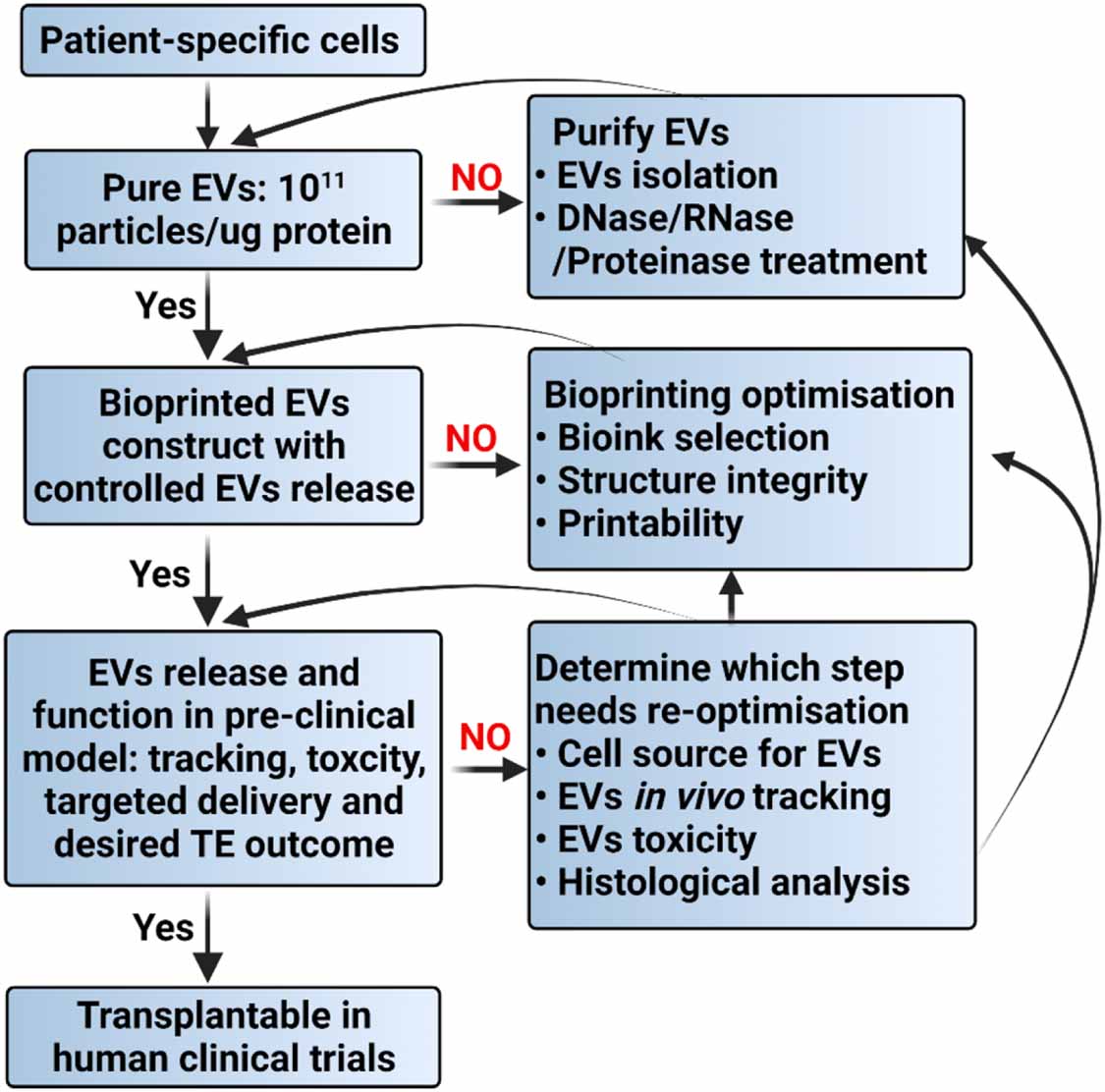 3D bioprinted extracellular vesicles for tissue engineering—a ...