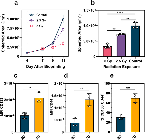 A rapid high throughput bioprinted colorectal cancer spheroid platform ...