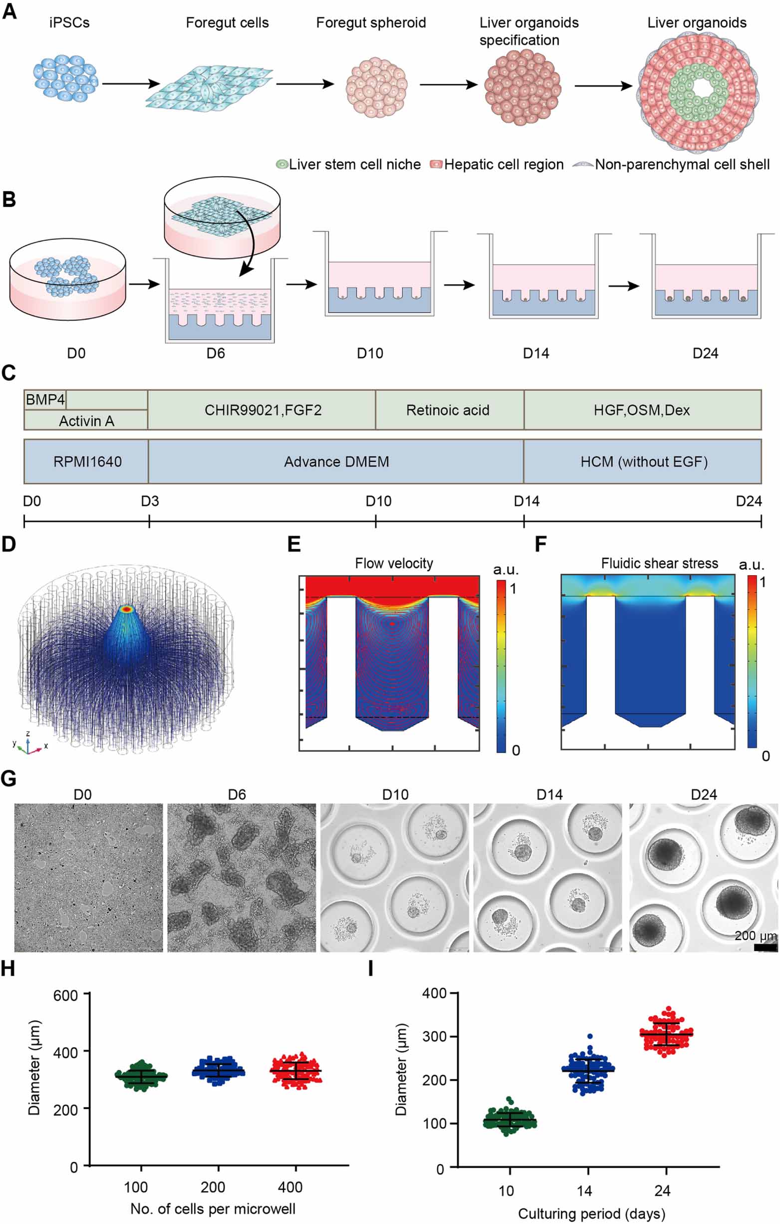 Development of a high-throughput micropatterned agarose scaffold for ...
