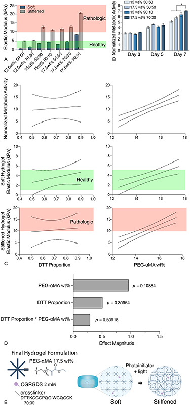 3D-bioprinted, phototunable hydrogel models for studying adventitial ...