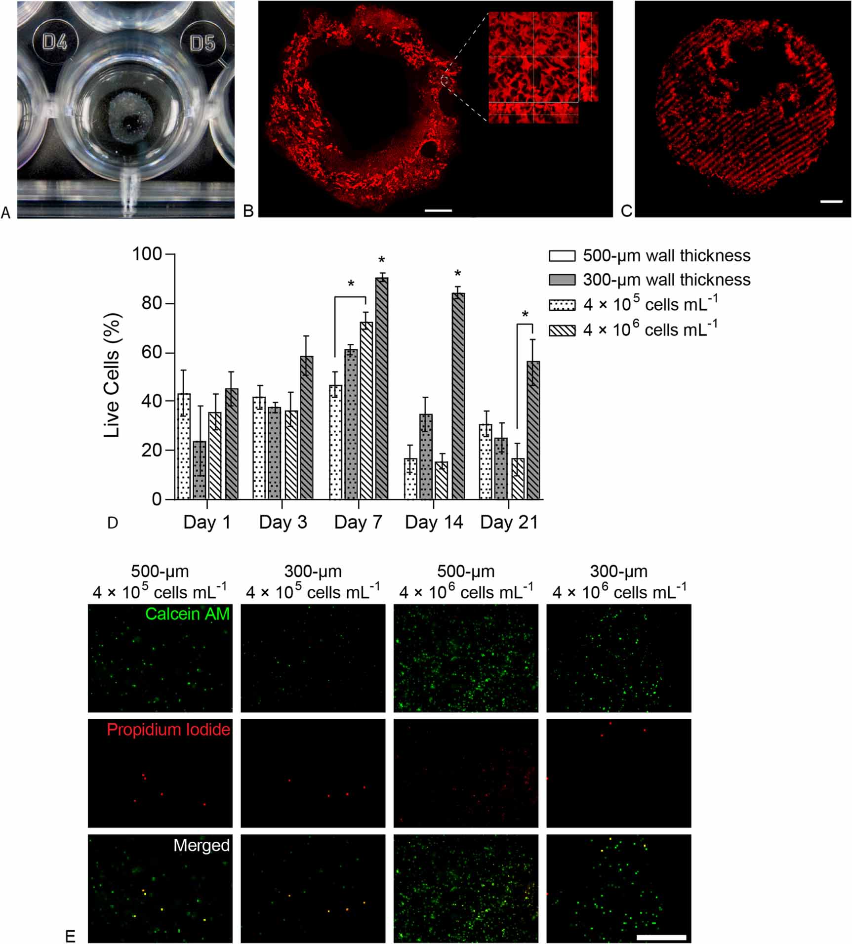 3D-bioprinted, phototunable hydrogel models for studying adventitial ...