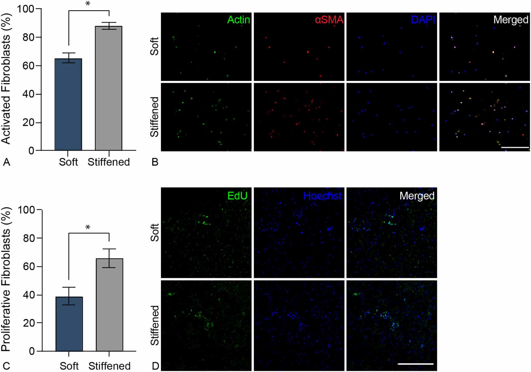 3D-bioprinted, phototunable hydrogel models for studying adventitial ...