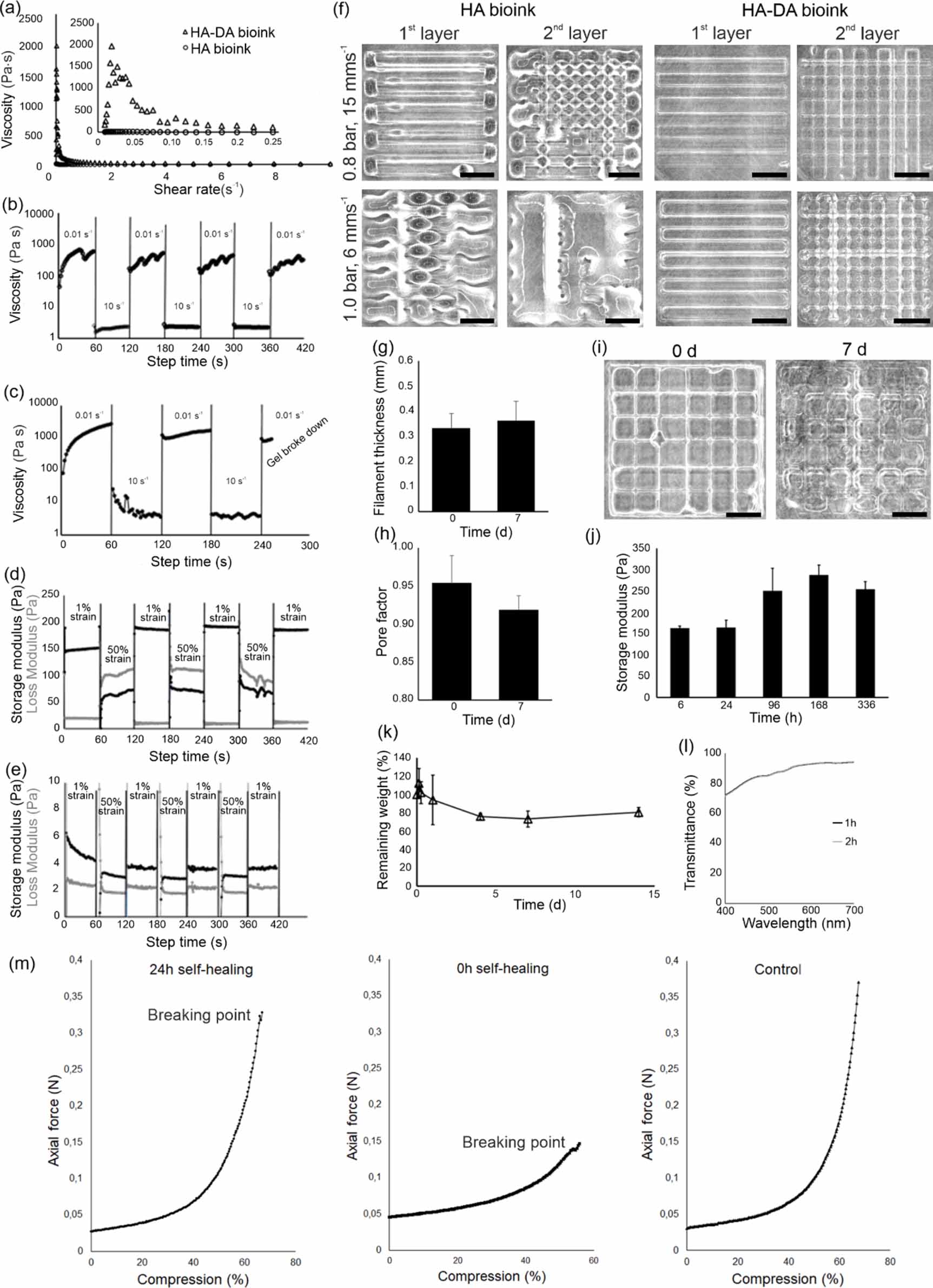 Hyaluronic acid based next generation bioink for 3D bioprinting of ...