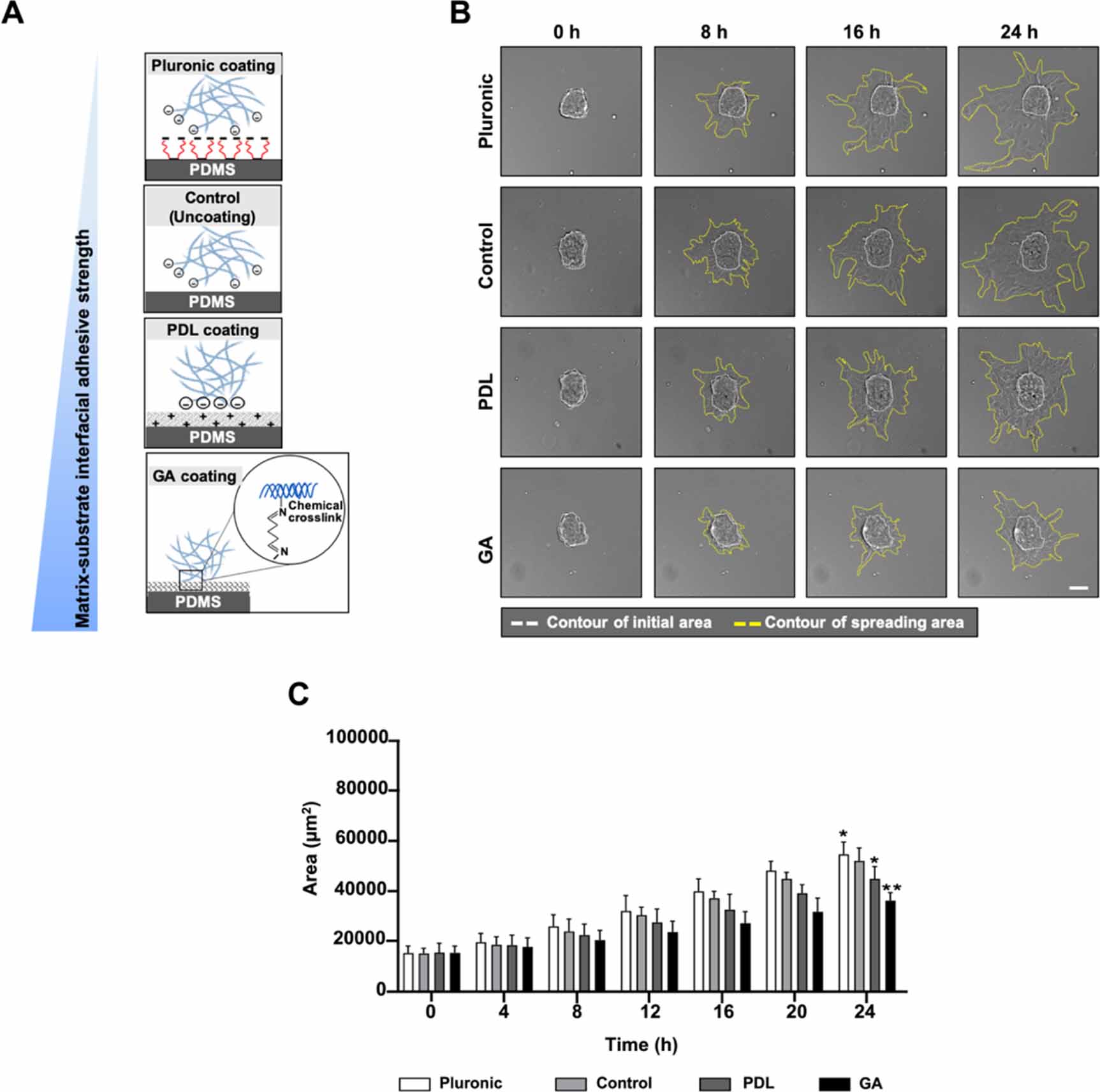 The interface stiffness and topographic feature dictate interfacial ...