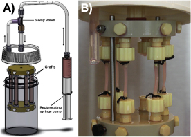 Current biofabrication methods for vascular tissue engineering and an ...