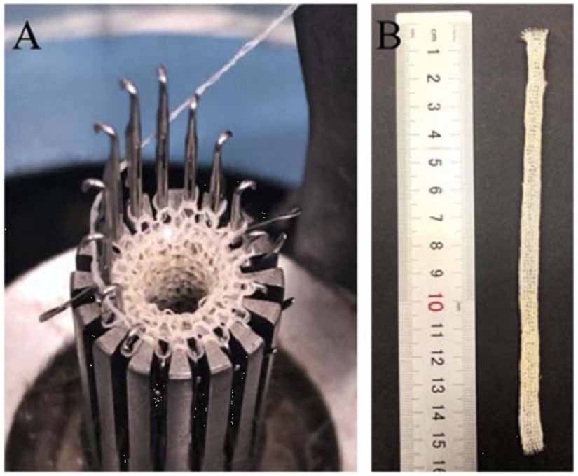 Current biofabrication methods for vascular tissue engineering and an ...