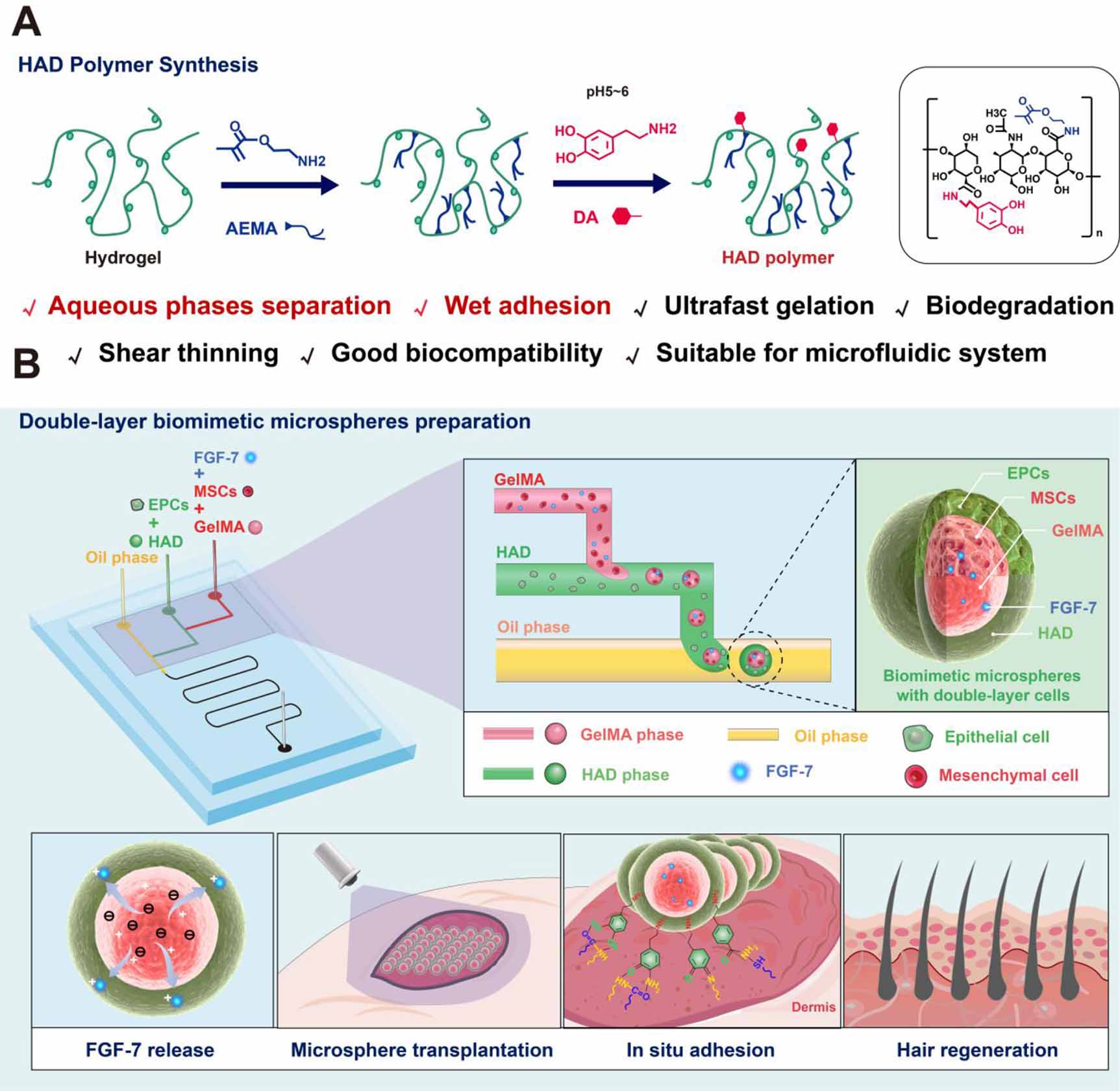 One-step generation of core–shell biomimetic microspheres encapsulating ...