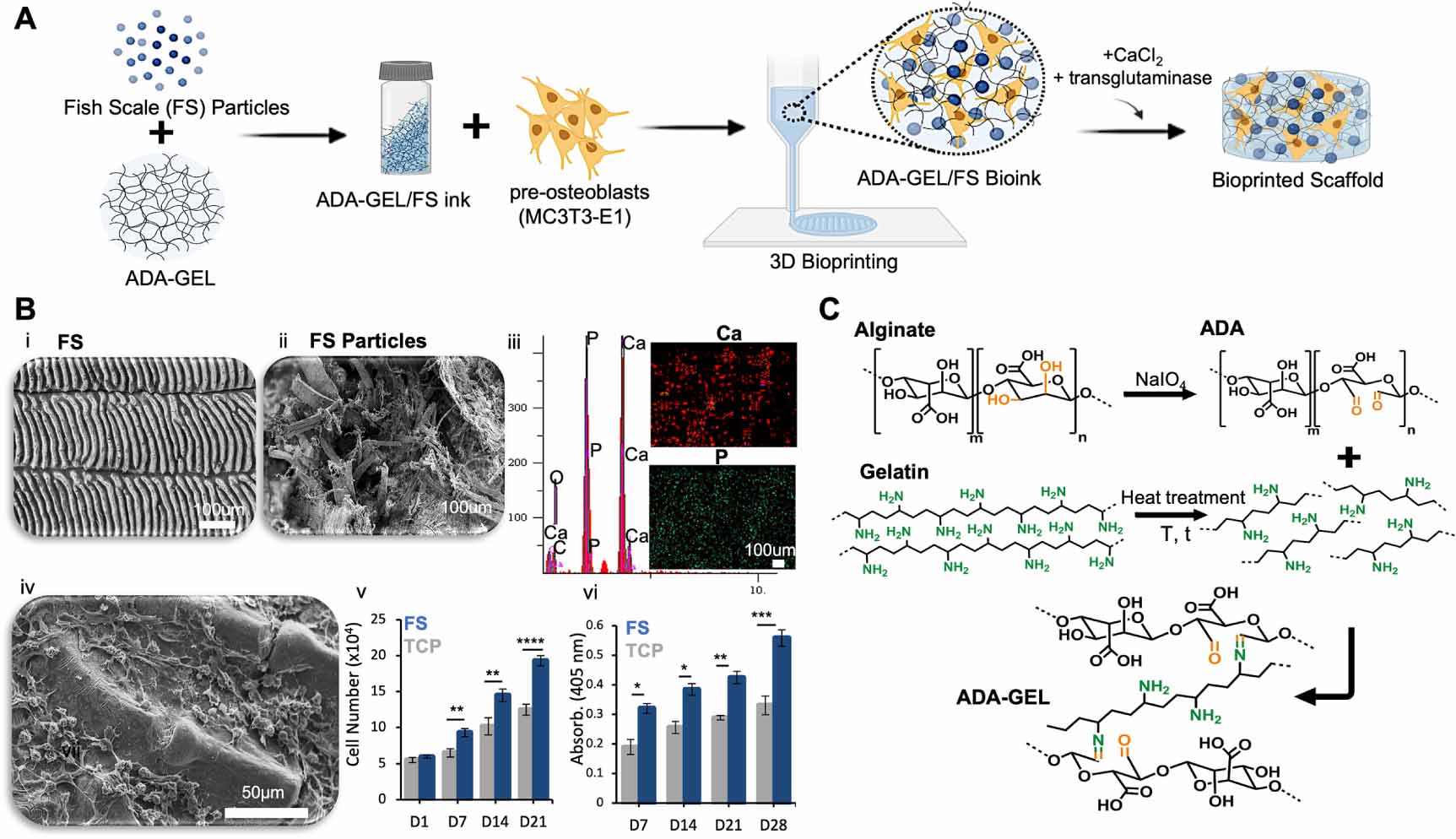 Fish scale containing alginate dialdehyde-gelatin bioink for bone ...