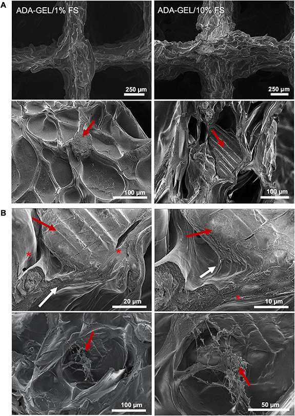 Fish scale containing alginate dialdehyde-gelatin bioink for bone ...