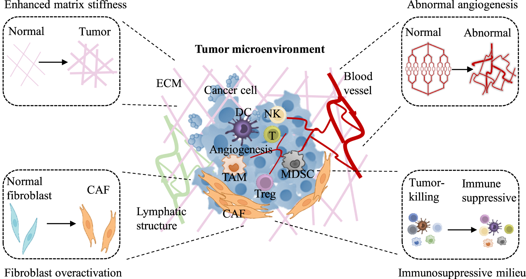 Reconstruction of tumor microenvironment via in vitro three-dimensional ...