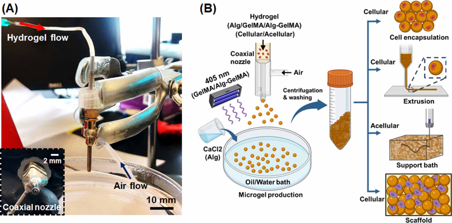 High-throughput microgel biofabrication via air-assisted co-axial ...
