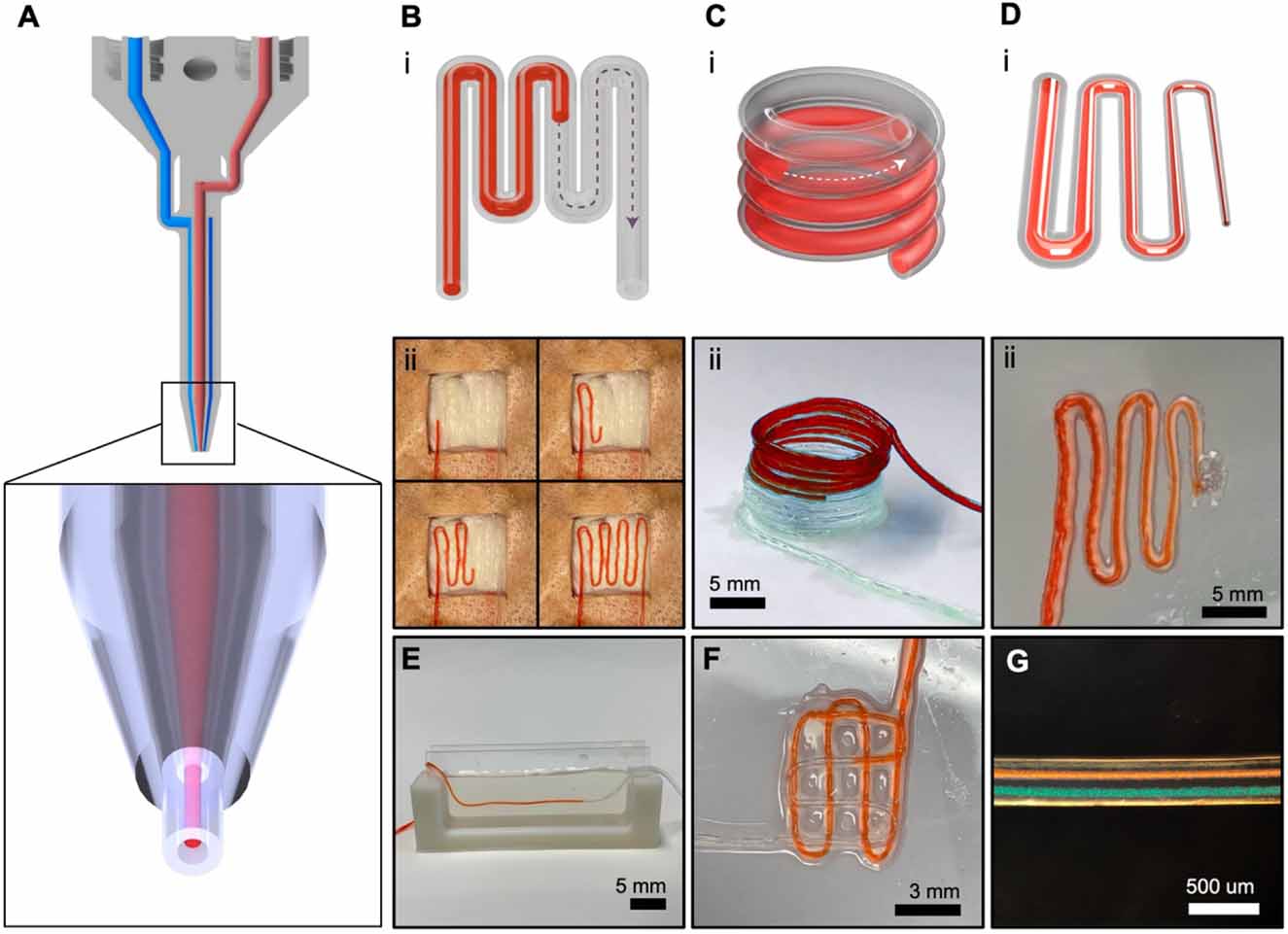 A handheld bioprinter for multi-material printing of complex constructs ...