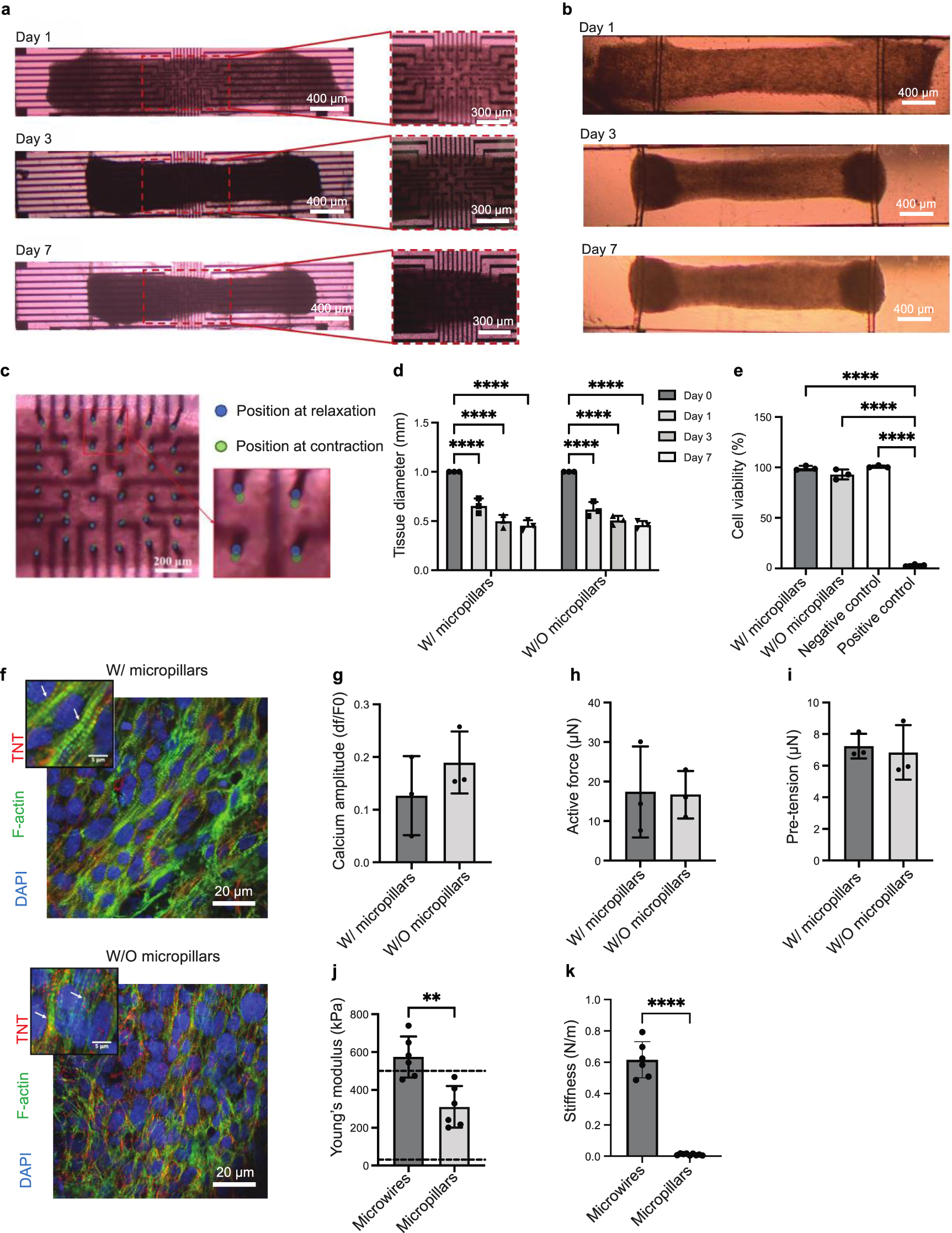 Flexible 3D printed microwires and 3D microelectrodes for heart-on-a ...
