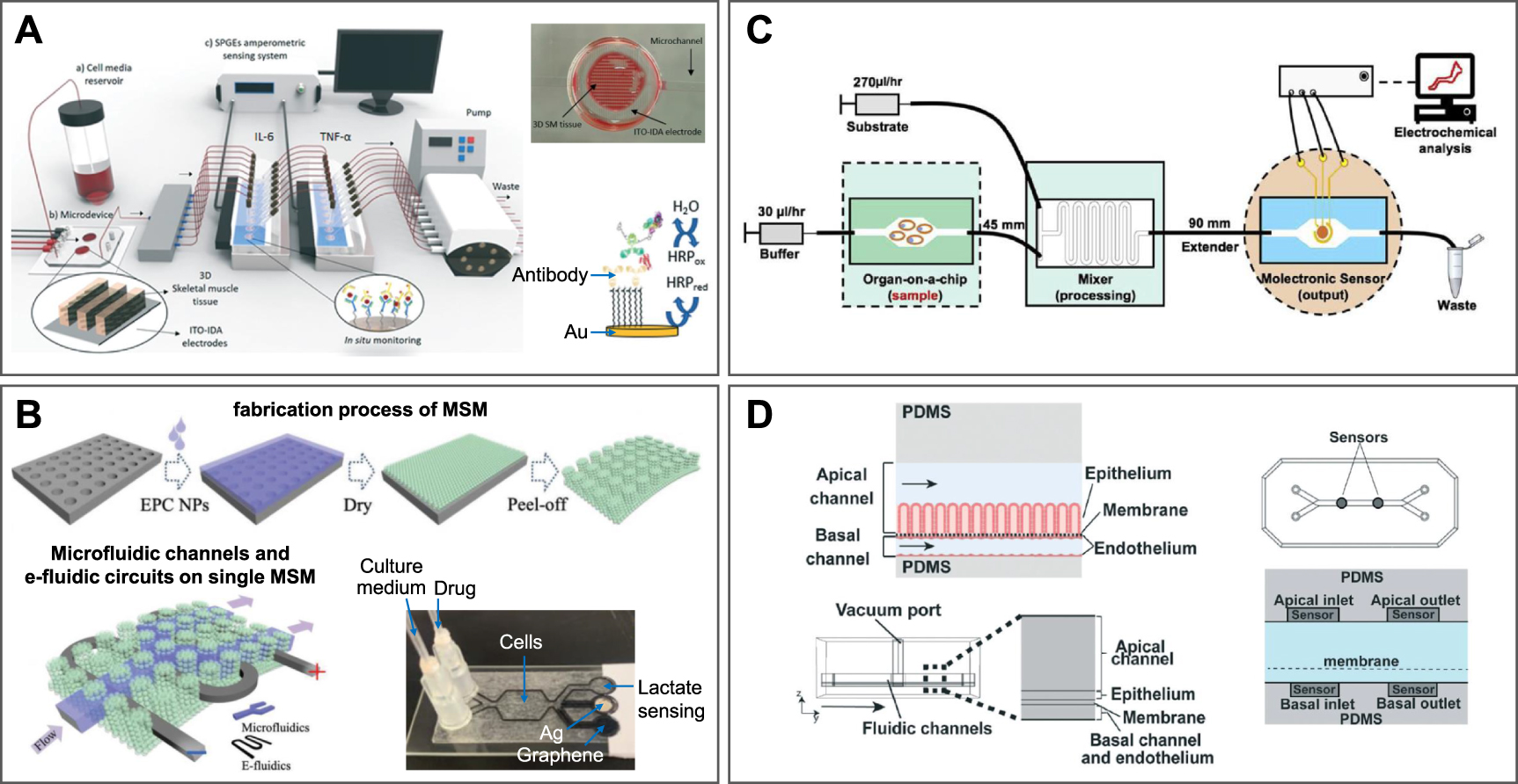 In situ biosensing technologies for an organ-on-a-chip - IOPscience