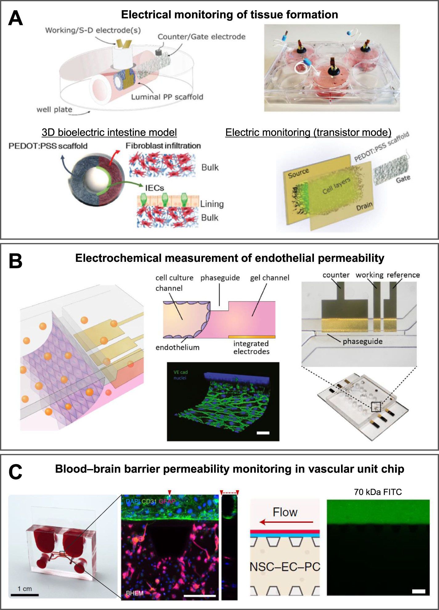 In situ biosensing technologies for an organ-on-a-chip - IOPscience