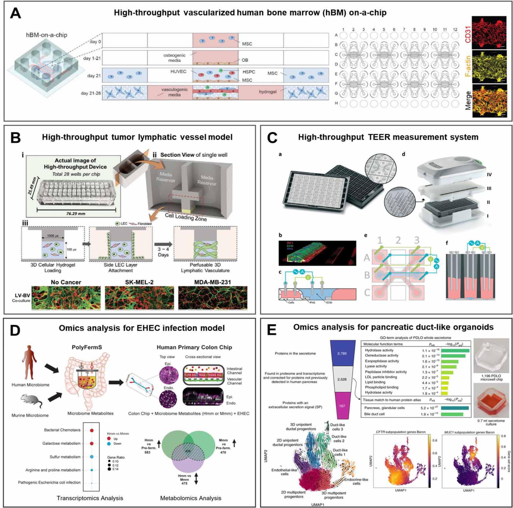 In situ biosensing technologies for an organ-on-a-chip - IOPscience