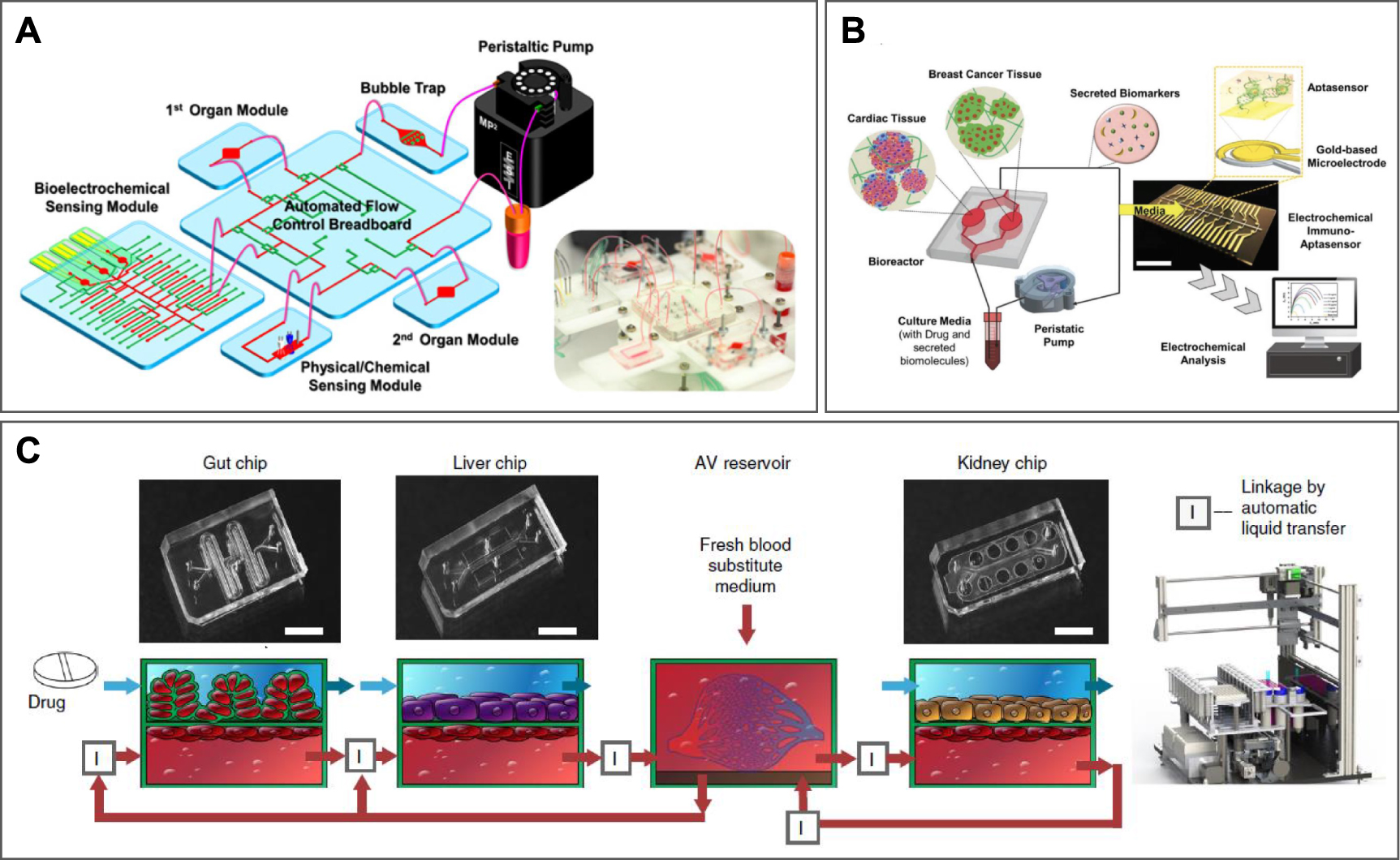 In situ biosensing technologies for an organ-on-a-chip - IOPscience