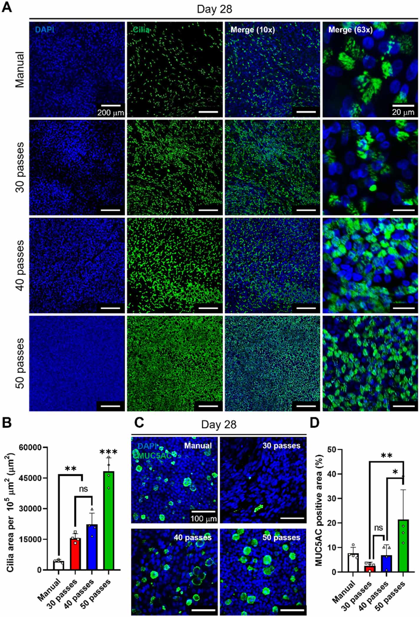 High-throughput bioprinting of the nasal epithelium using patient ...