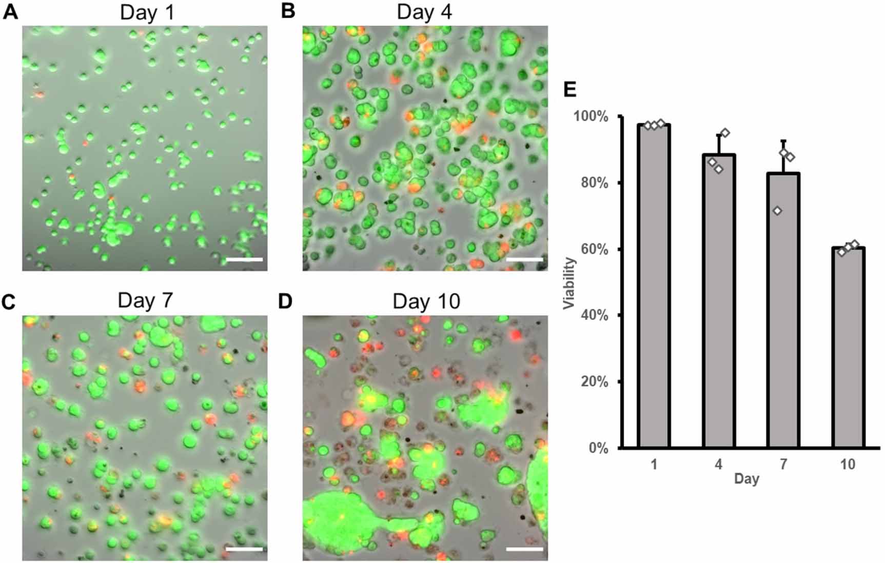Stratified tissue biofabrication by rotational internal flow layer engineering - IOPscience