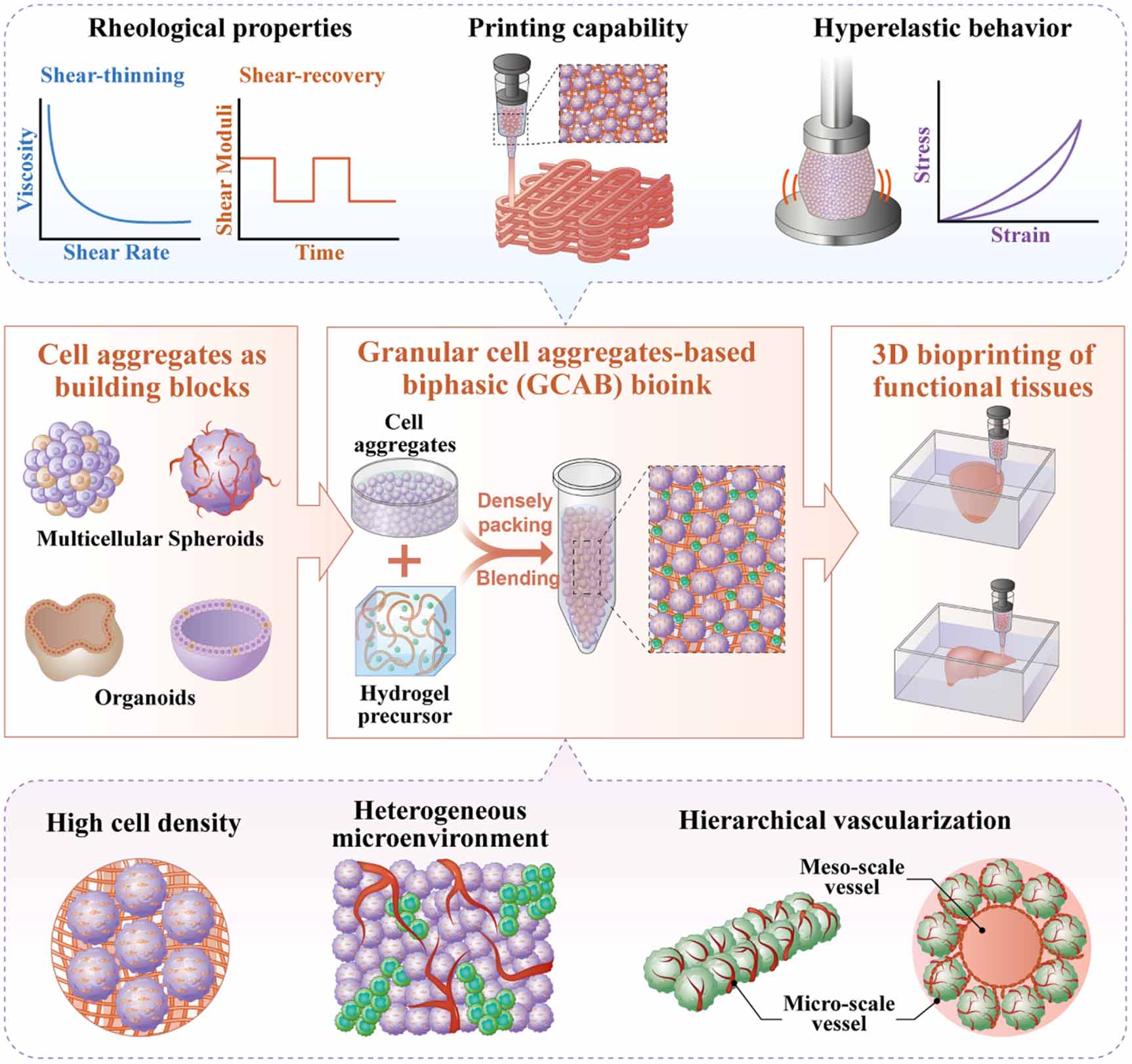 3D printing of vascularized hepatic tissues with a high cell density ...