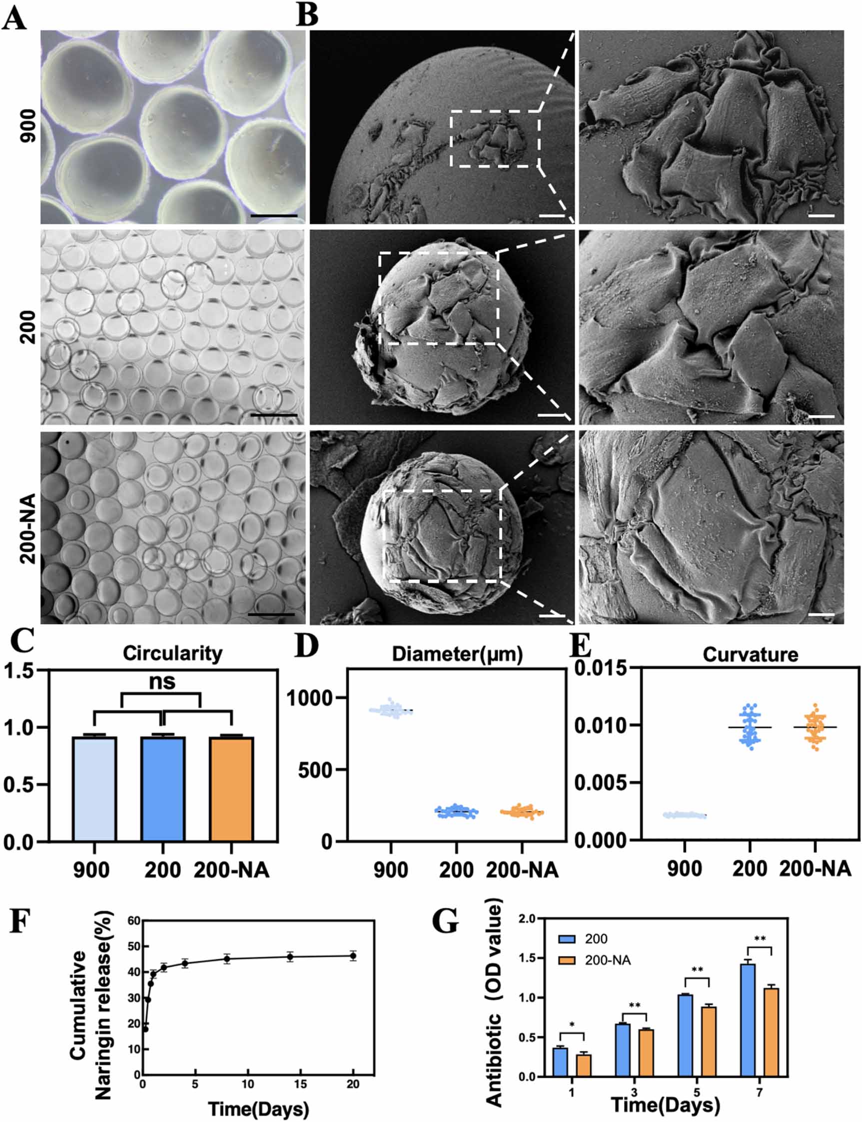 Injectable rBMSCs-laden hydrogel microspheres loaded with naringin for ...