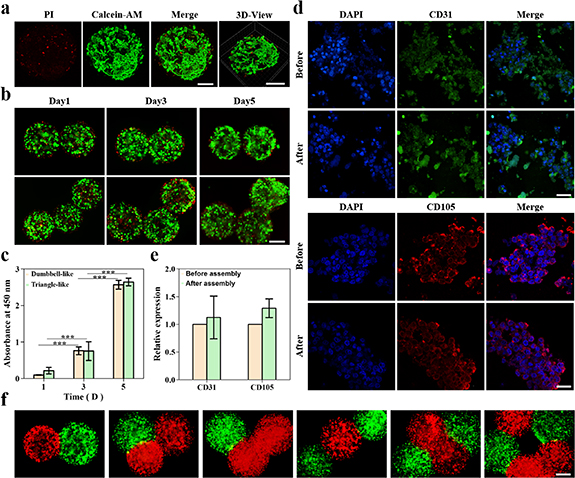 Laser-guided programmable construction of cell-laden hydrogel ...