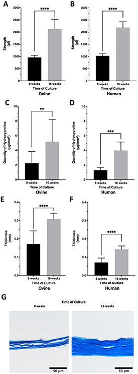 Development and characterization of biological sutures made of cell ...