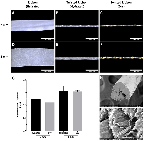 Development and characterization of biological sutures made of cell ...