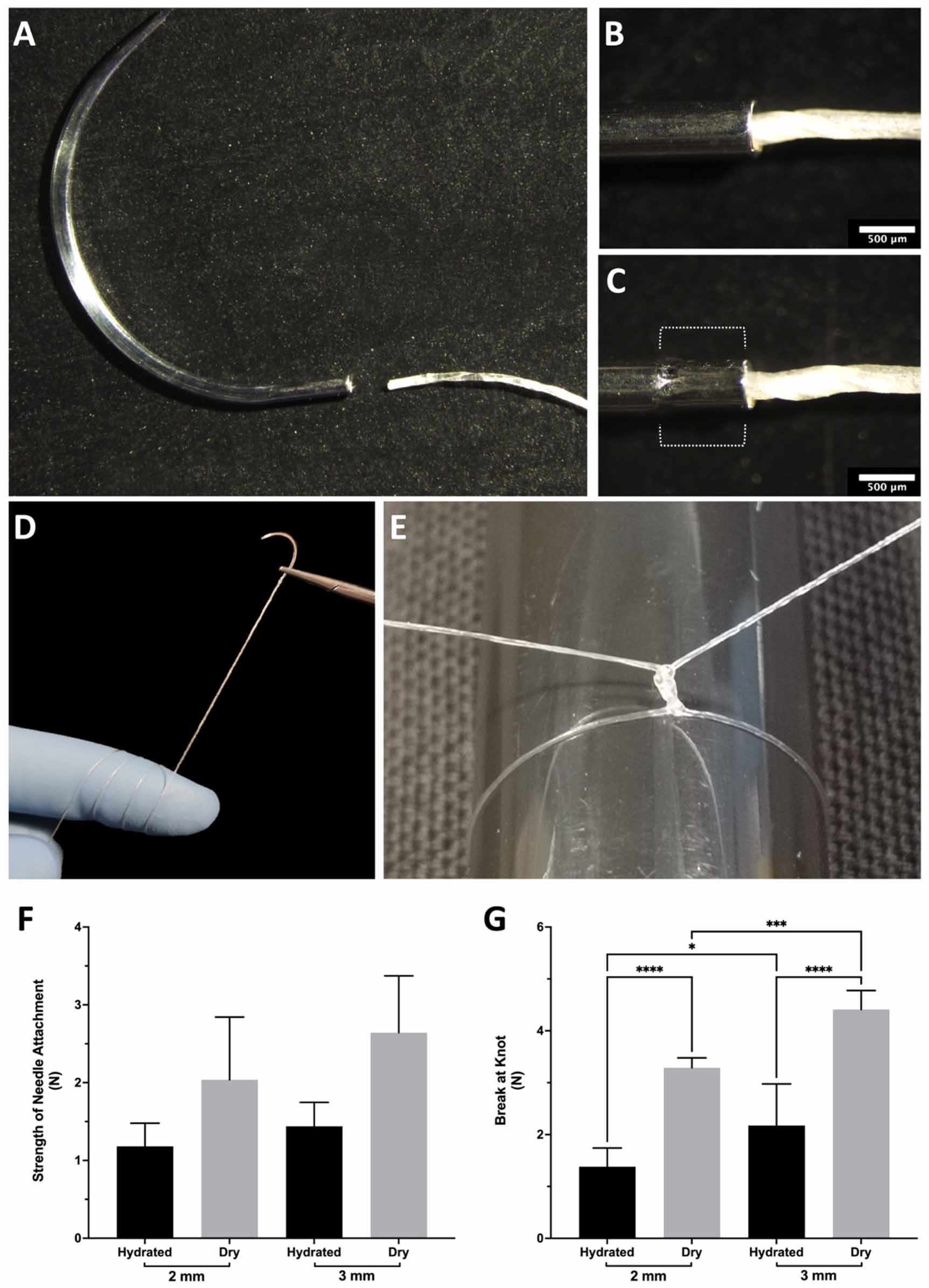 Development and characterization of biological sutures made of cell ...