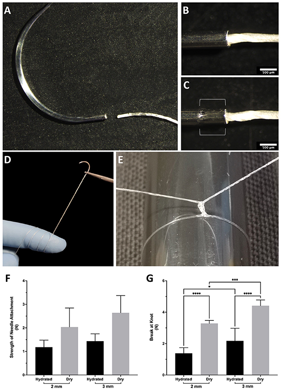 Development and characterization of biological sutures made of cell ...