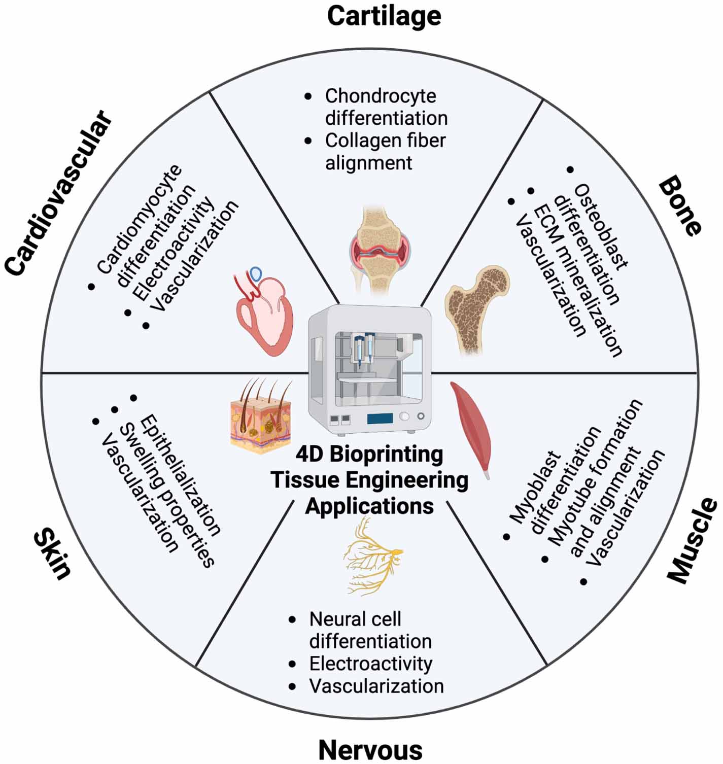 Translational biomaterials of four-dimensional bioprinting for tissue ...