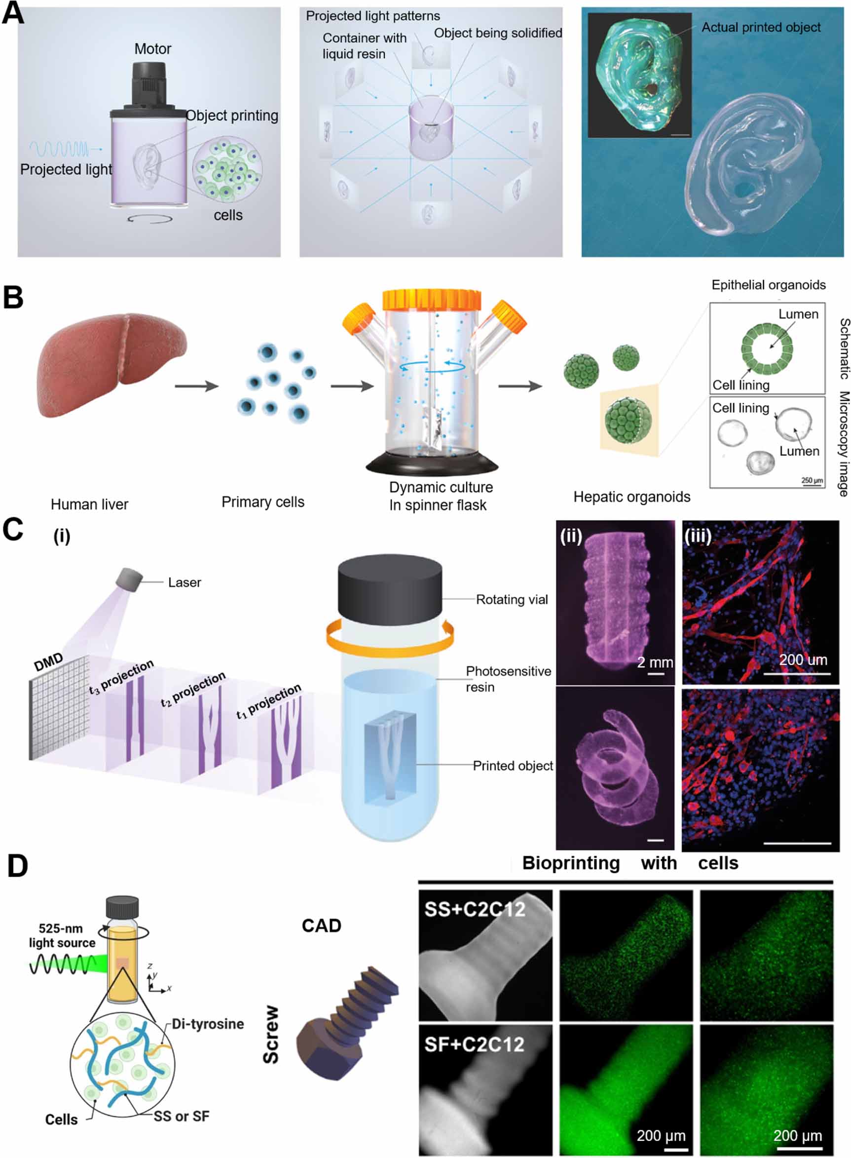 Advances in volumetric bioprinting - IOPscience