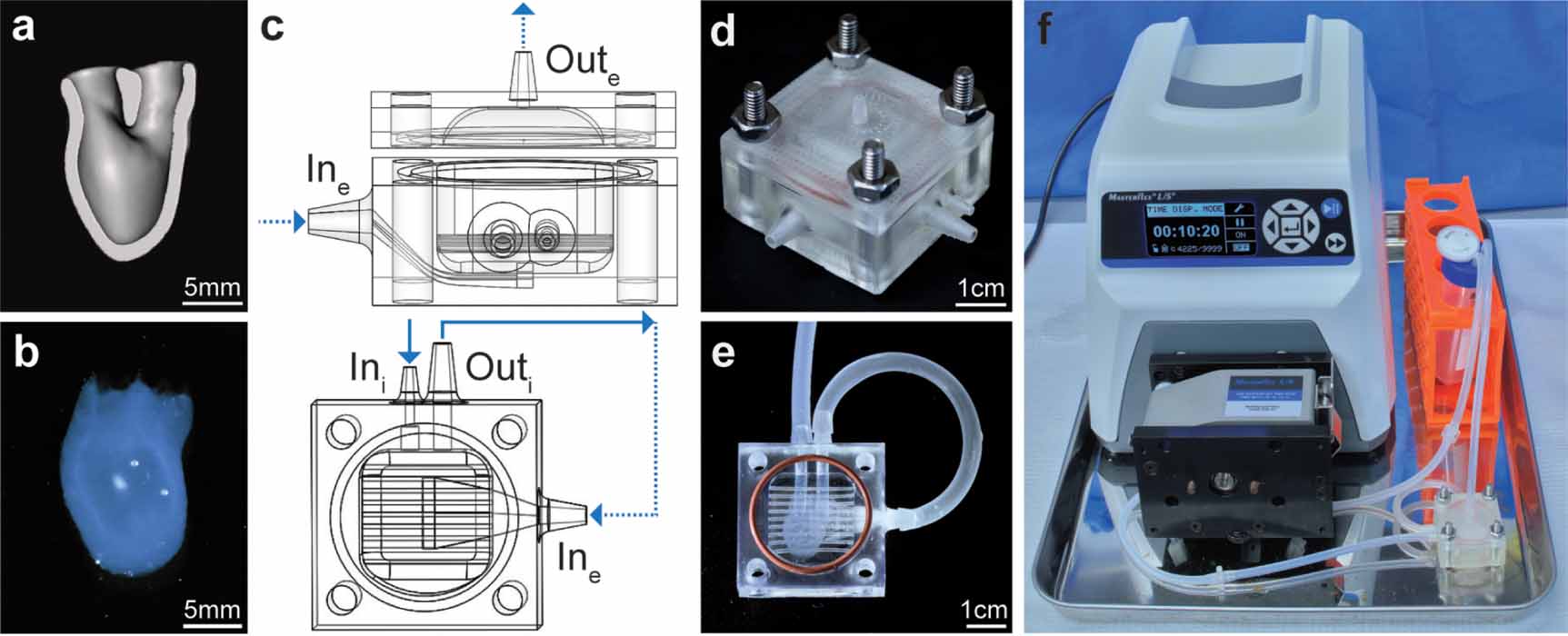 A novel perfusion bioreactor promotes the expansion of pluripotent stem ...