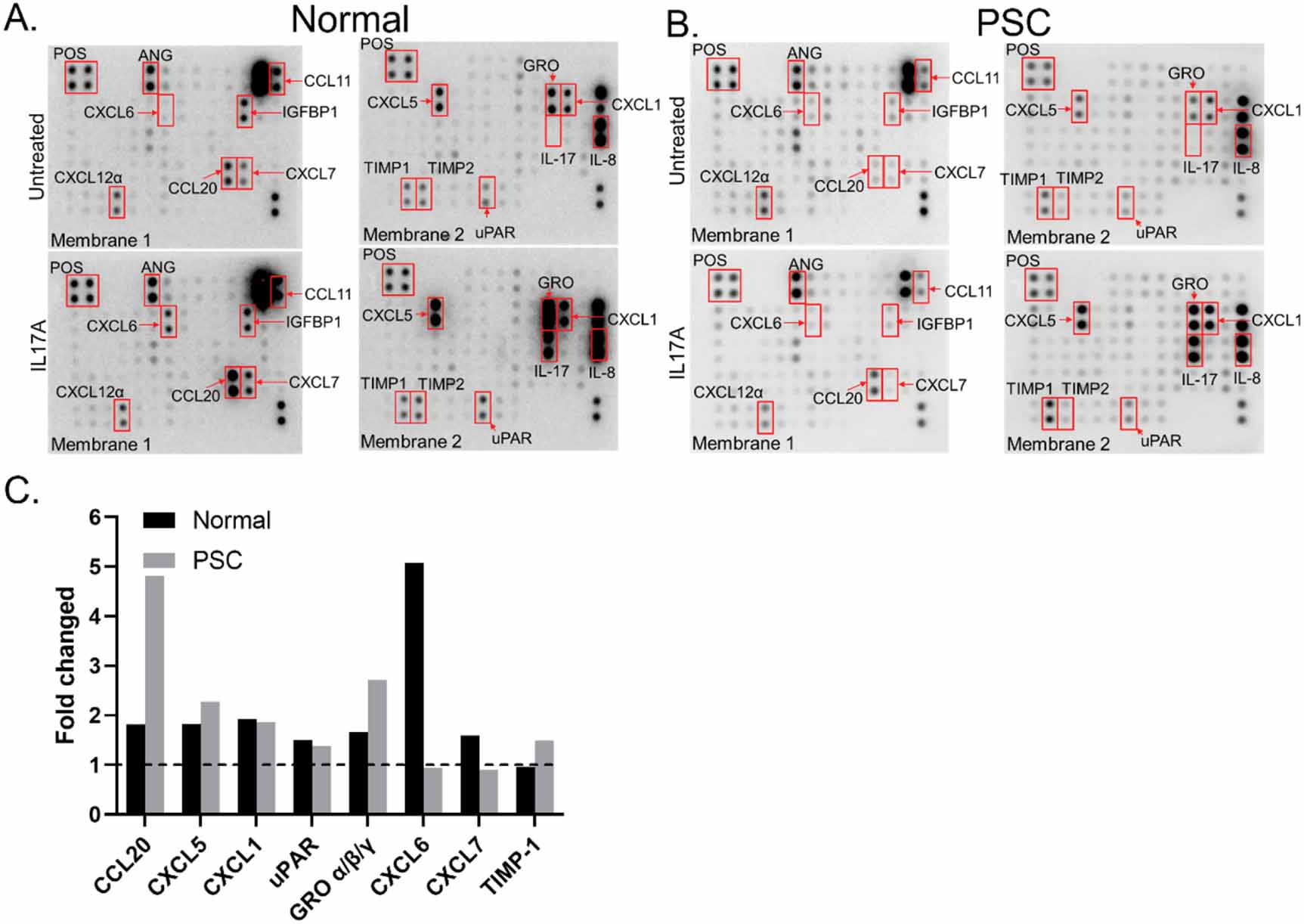 Human vascularized bile duct-on-a chip: a multi-cellular micro ...
