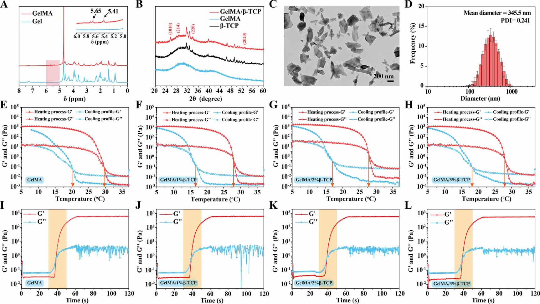 Novel 3D-printing bilayer GelMA-based hydrogel containing BP, β-TCP and ...