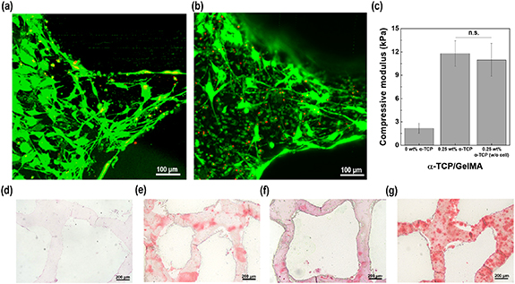 Enhancement of properties of a cell-laden GelMA hydrogel-based bioink ...