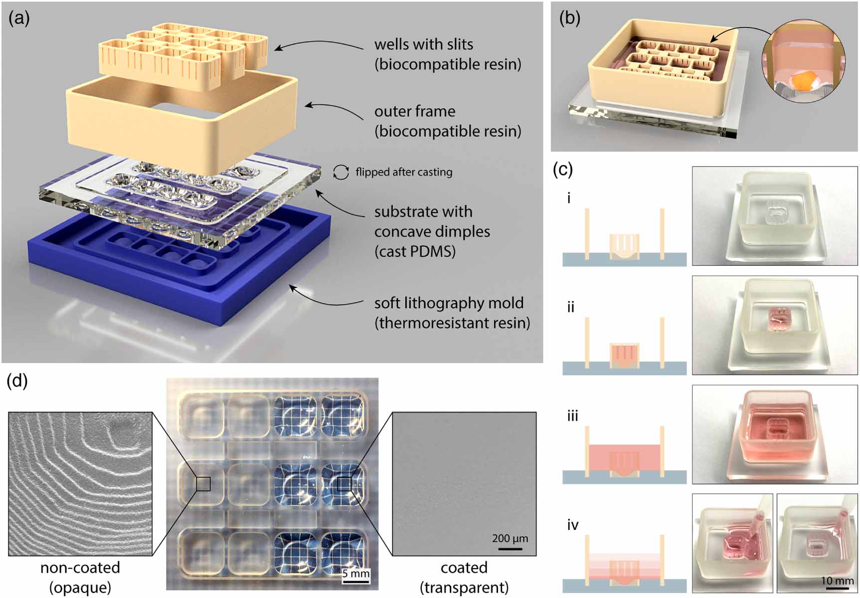 Modular 3D printed platform for fluidically connected human brain ...