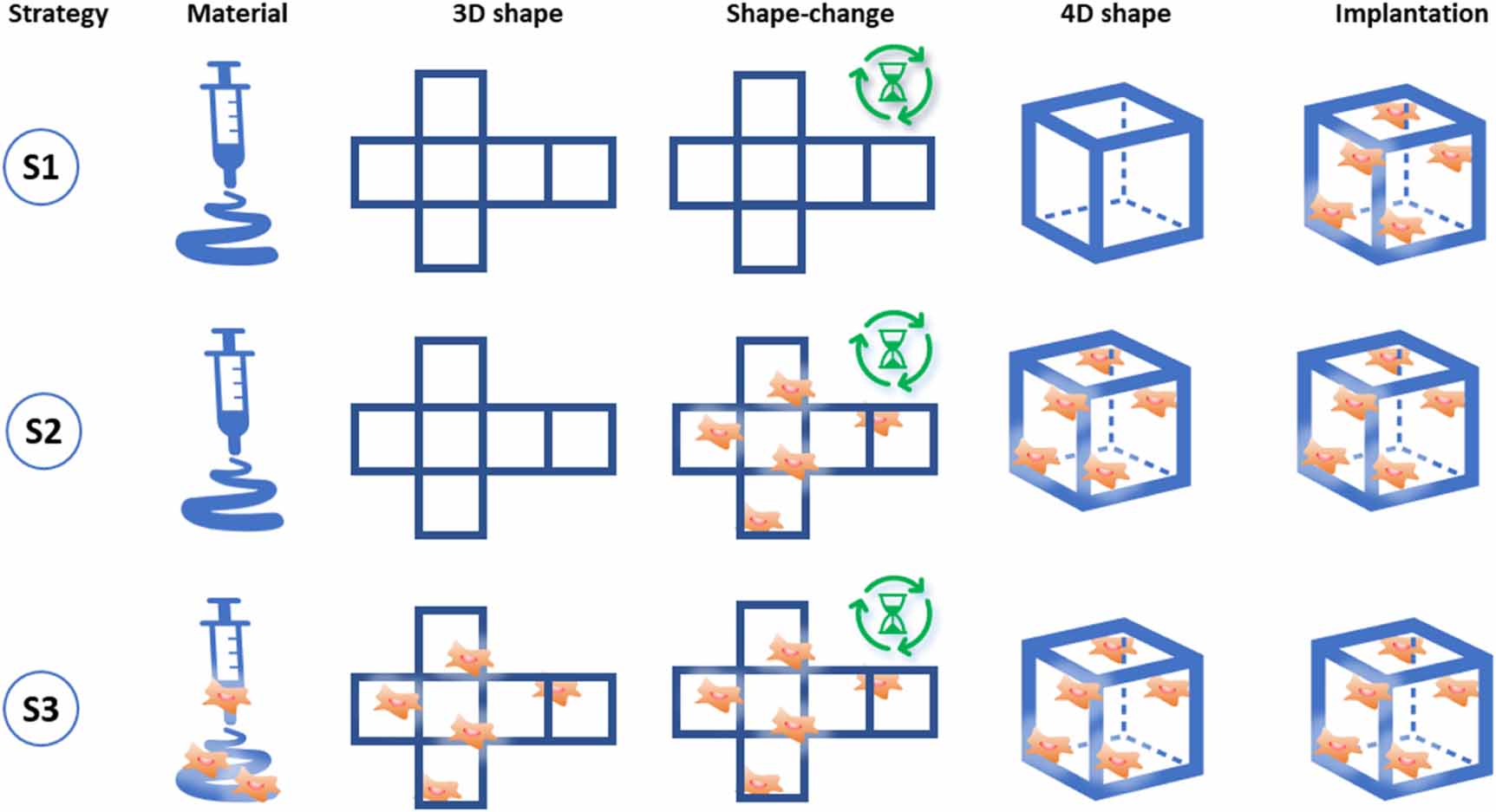 4D printed shape-shifting biomaterials for tissue engineering and ...