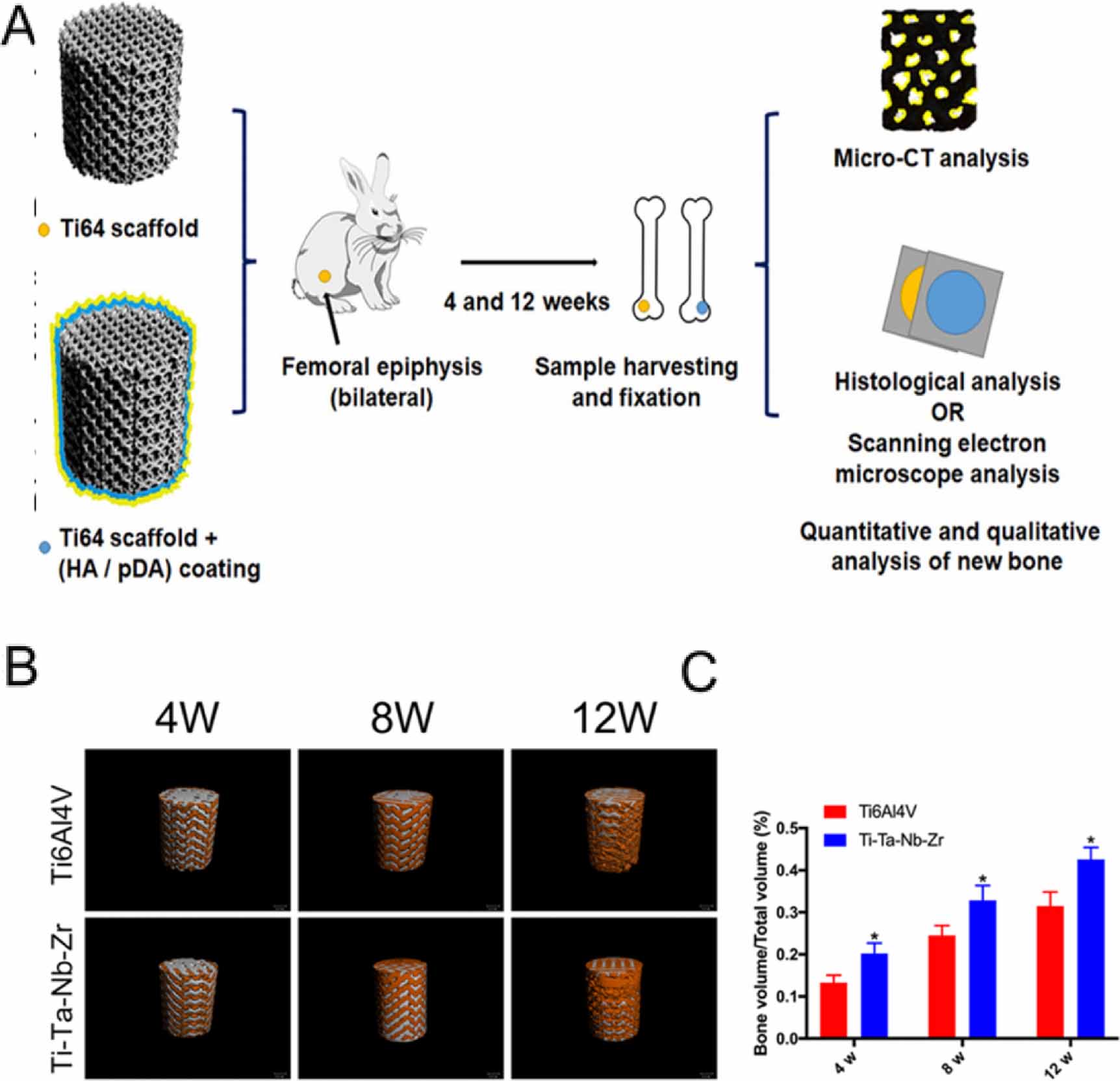 Application of additively manufactured bone scaffold: a systematic ...