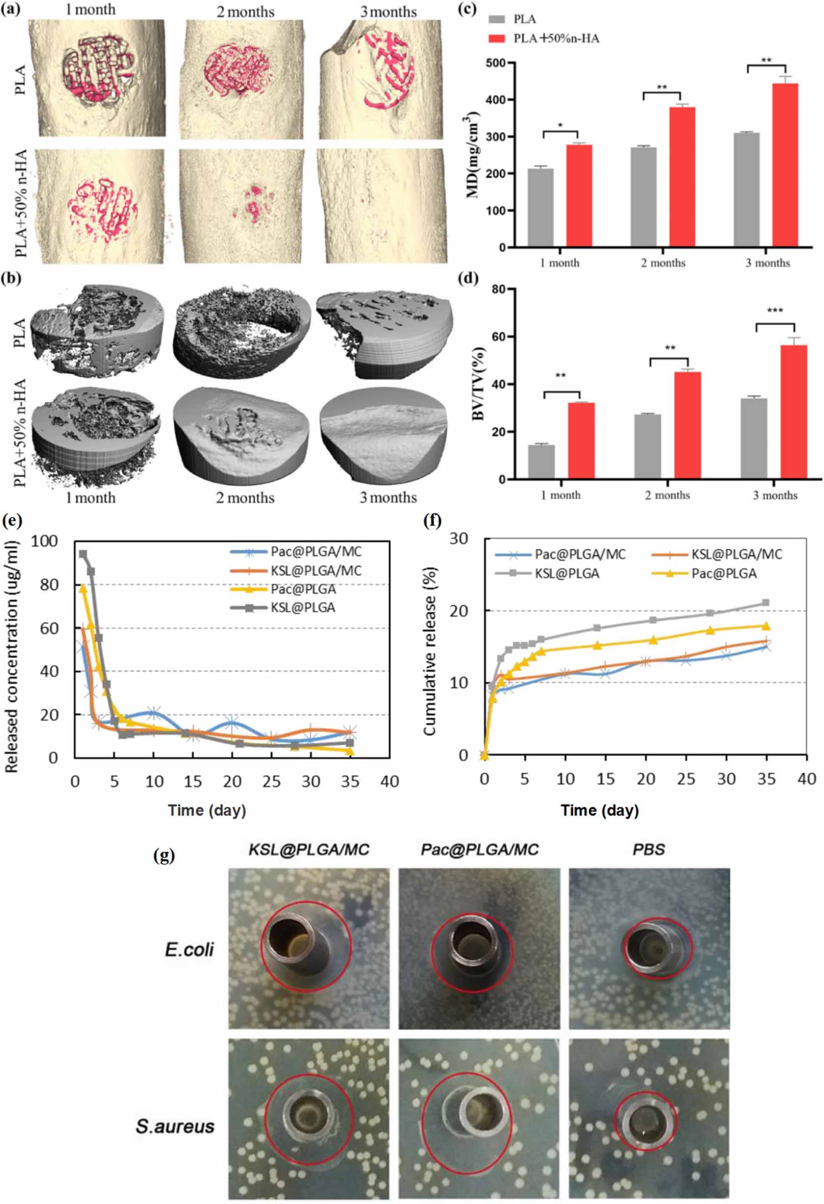 Application of additively manufactured bone scaffold: a systematic ...