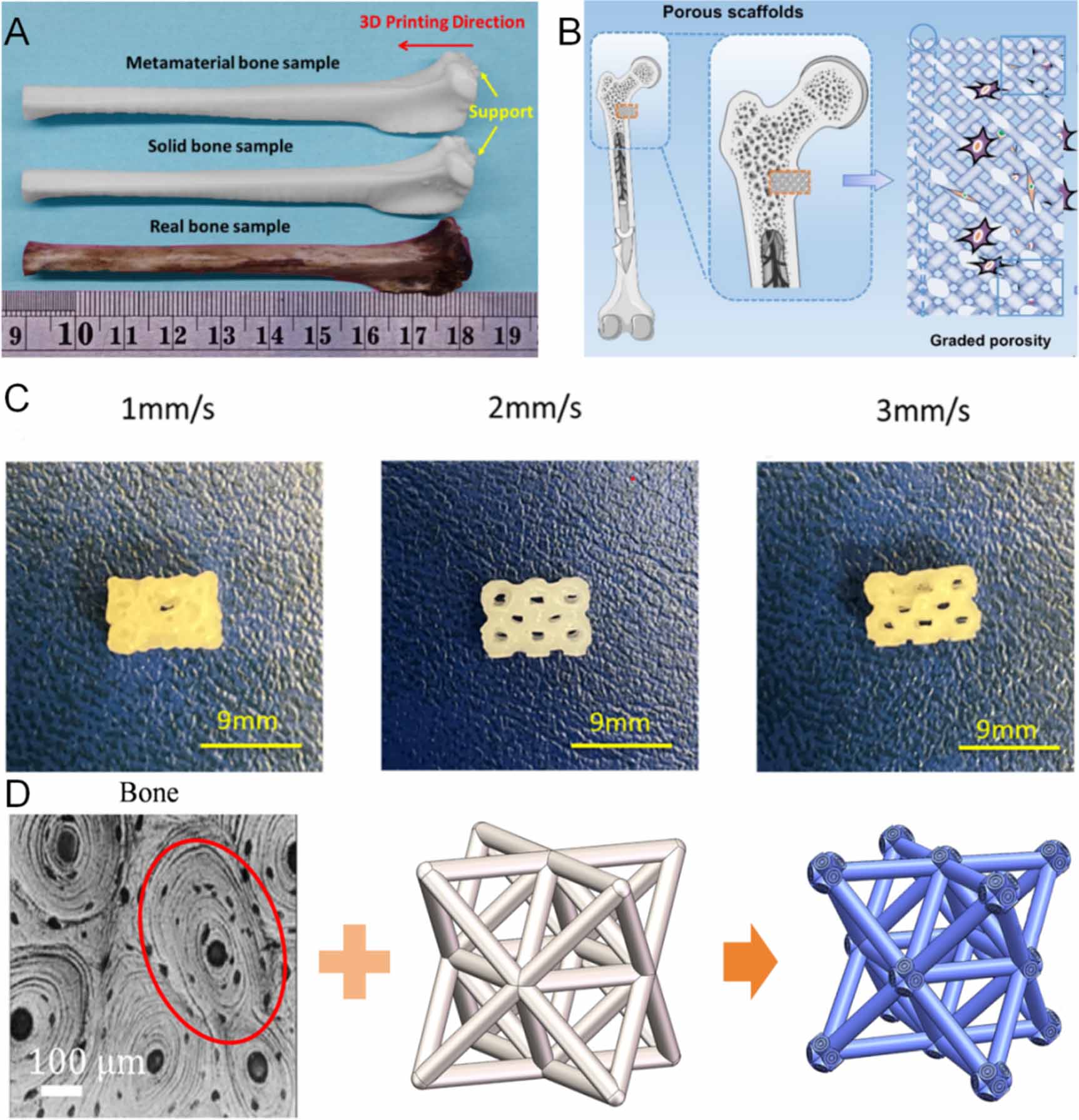 Application of additively manufactured bone scaffold: a systematic ...