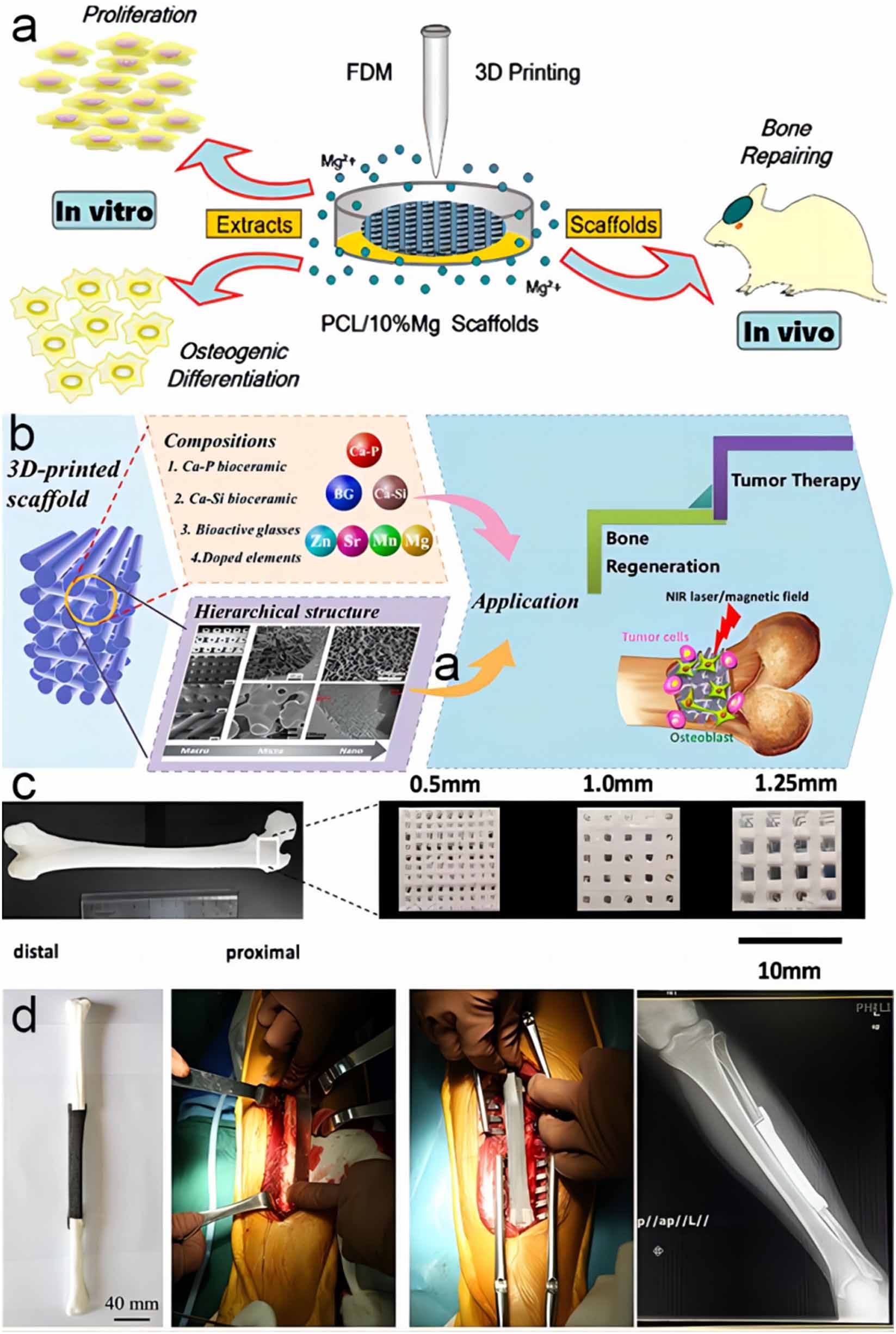 Application of additively manufactured bone scaffold: a systematic ...