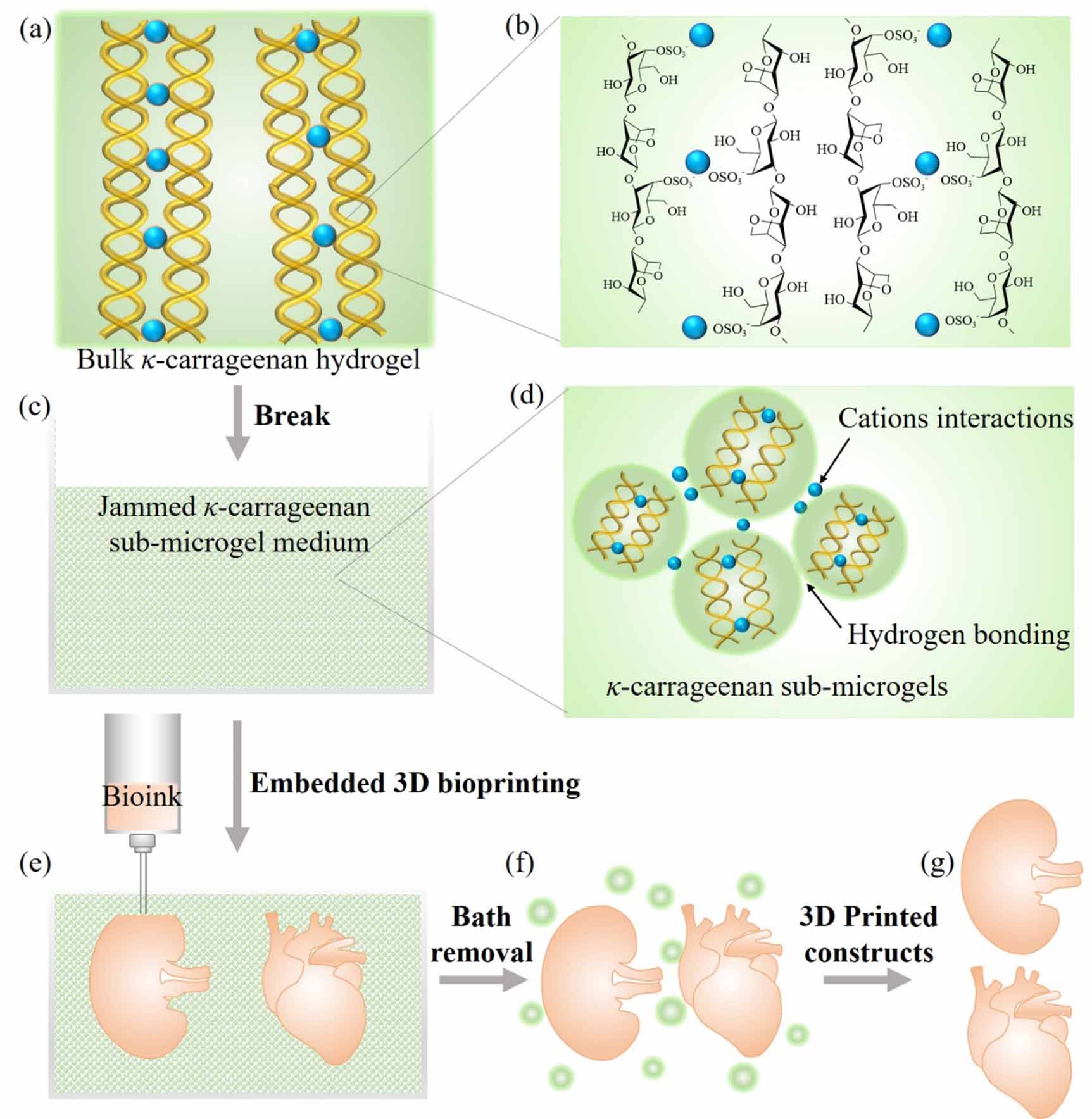 Cation-crosslinked κ-carrageenan sub-microgel medium for high-quality ...