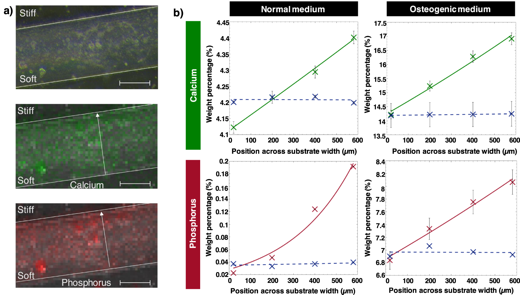 Fabrication of gradient hydrogels using a thermophoretic approach in ...