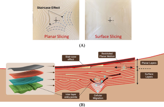Surface slicing and toolpath planning for in-situ bioprinting of skin ...