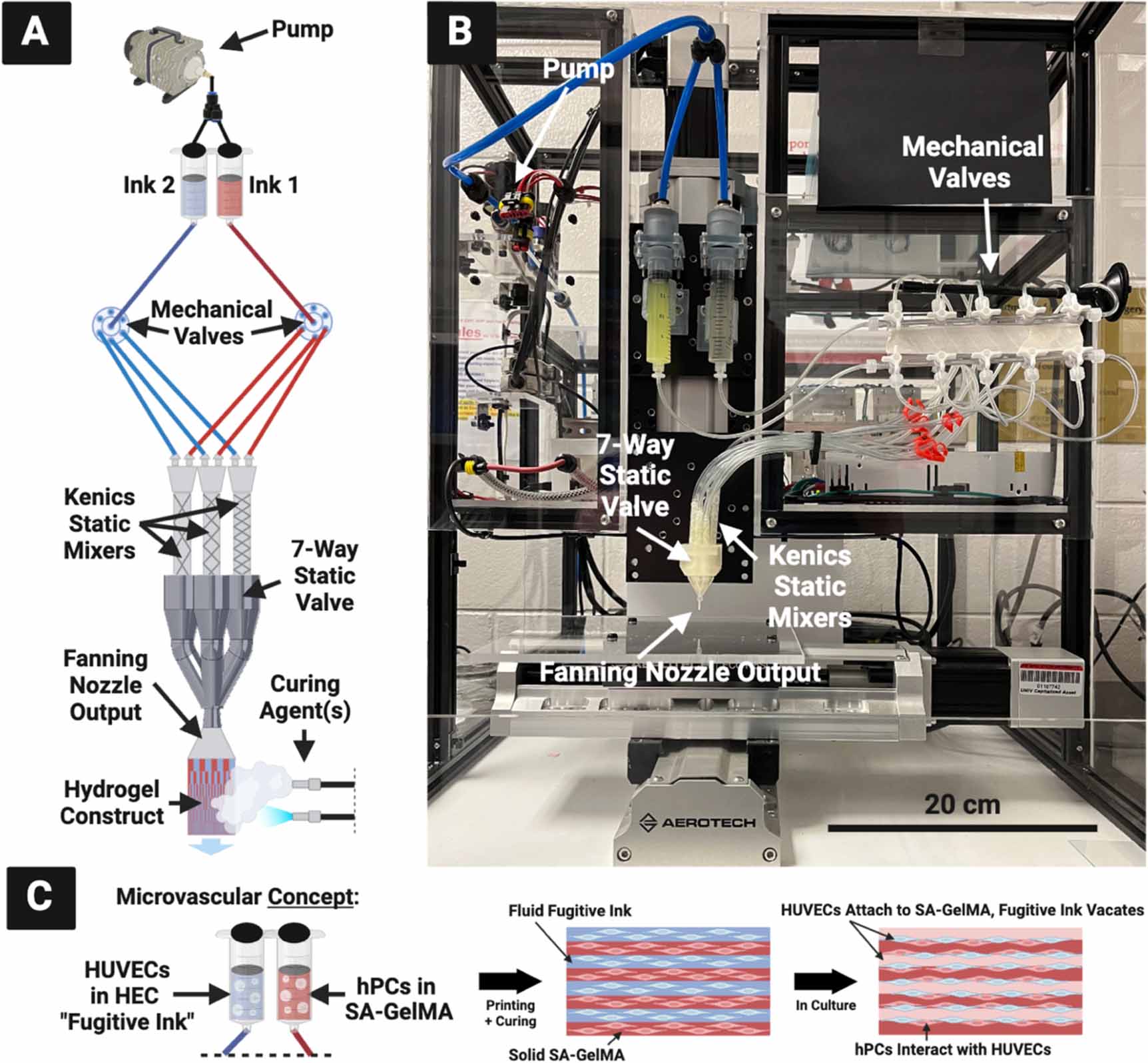 Sheet-based extrusion bioprinting: a new multi-material paradigm ...