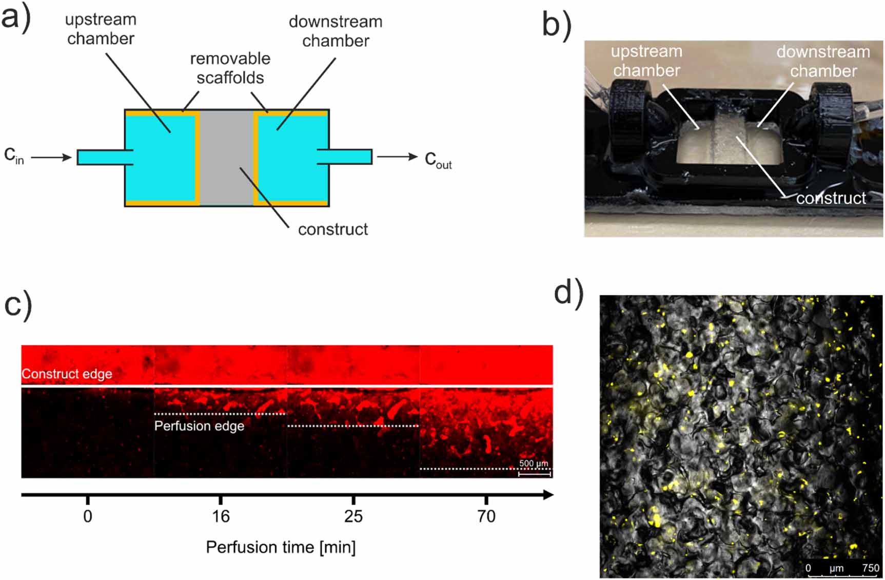 On-chip fabrication and in-flow 3D-printing of microgel constructs ...