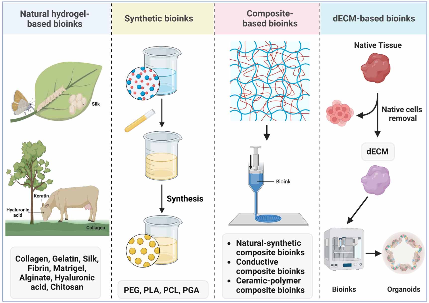 Organoid bioinks: construction and application - IOPscience